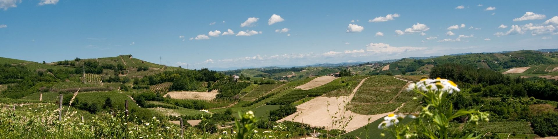 Bra e Roero: viaggio alla scoperta di un Piemonte che vi stregherà ...